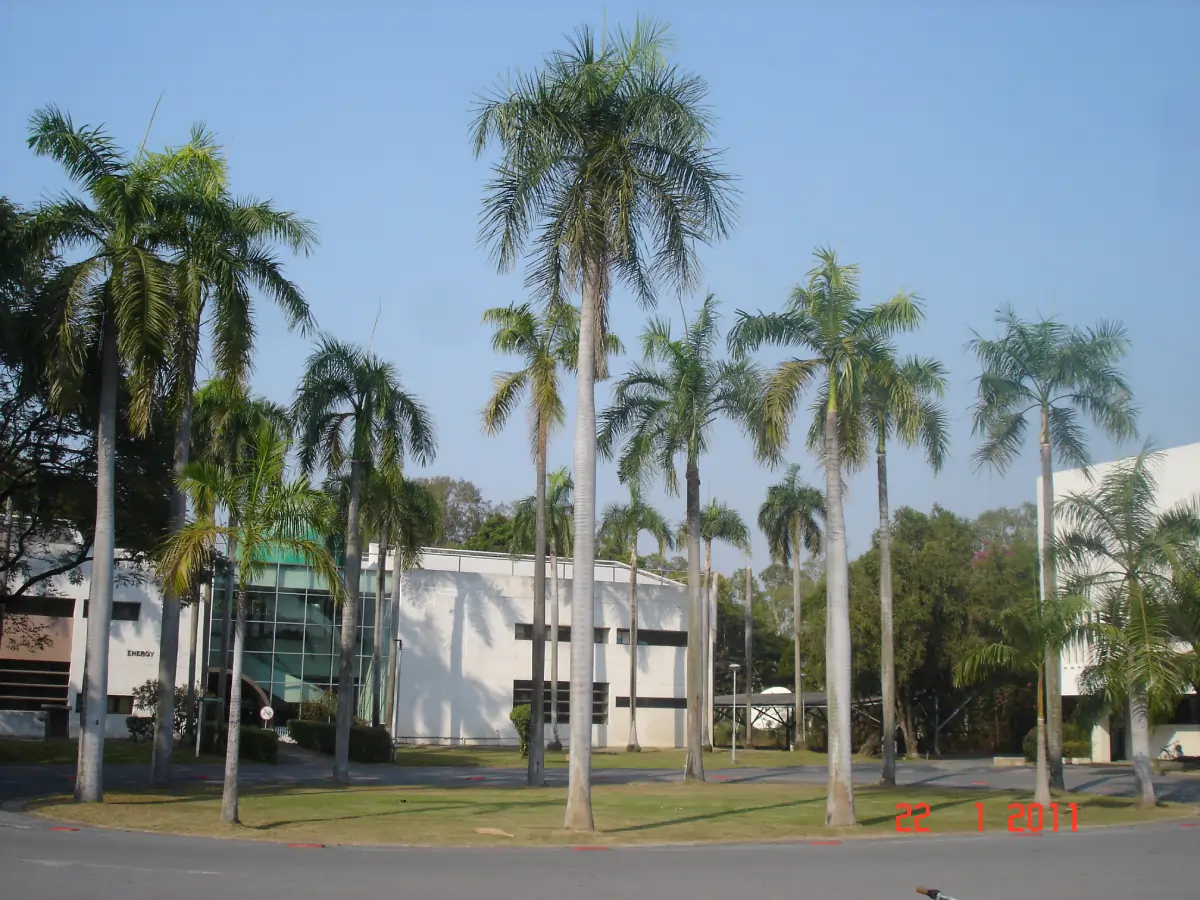 AIT Master's Scholarship 2025/2026 | How To Apply